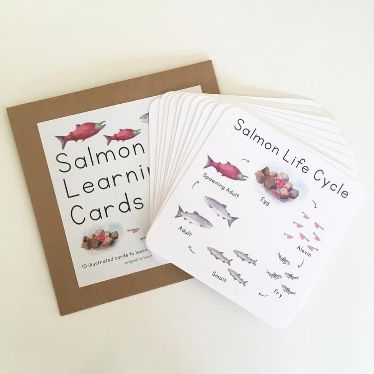Learning Cards by Tiny Nest Studio | Salmon Life Cycle – Little Alaskan