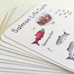 Learning Cards by Tiny Nest Studio | Salmon Life Cycle – Little Alaskan